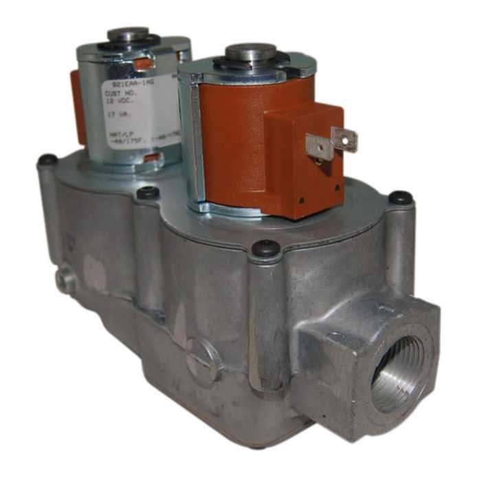 B21 Series Redundant Combination Gas Valve - BASO Gas Products LLC